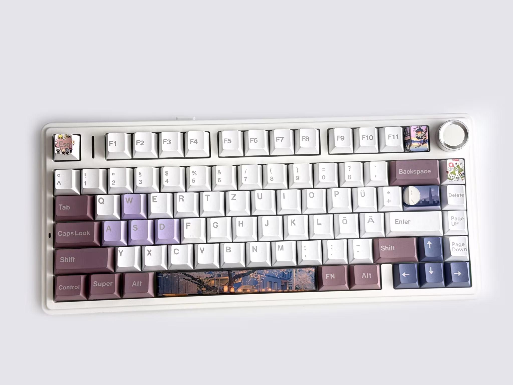 ANSI vs ISO: How to Pick the Best Keyboard